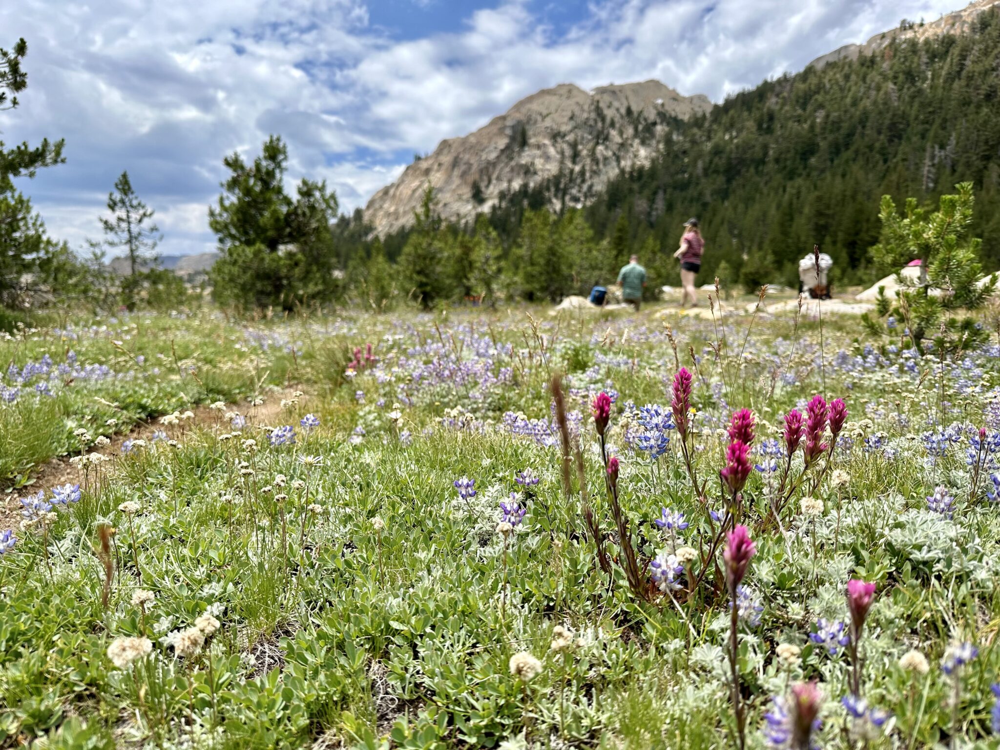 Benson Lake Loop | Embrace the Wild and Find Your Strength